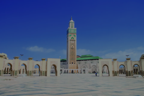 Home - The Royal Oak Foundation