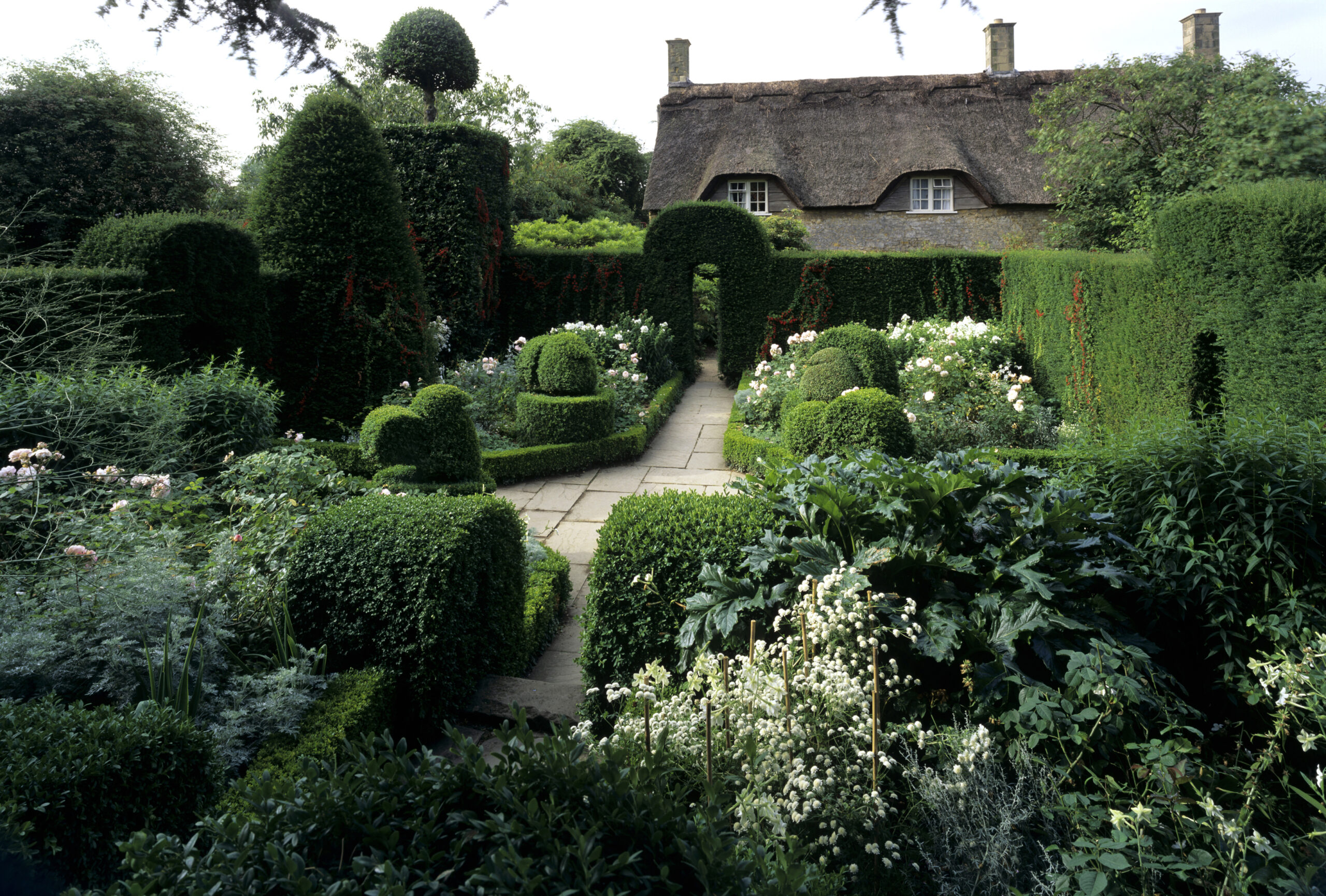 Talking Topiary - The Royal Oak Foundation