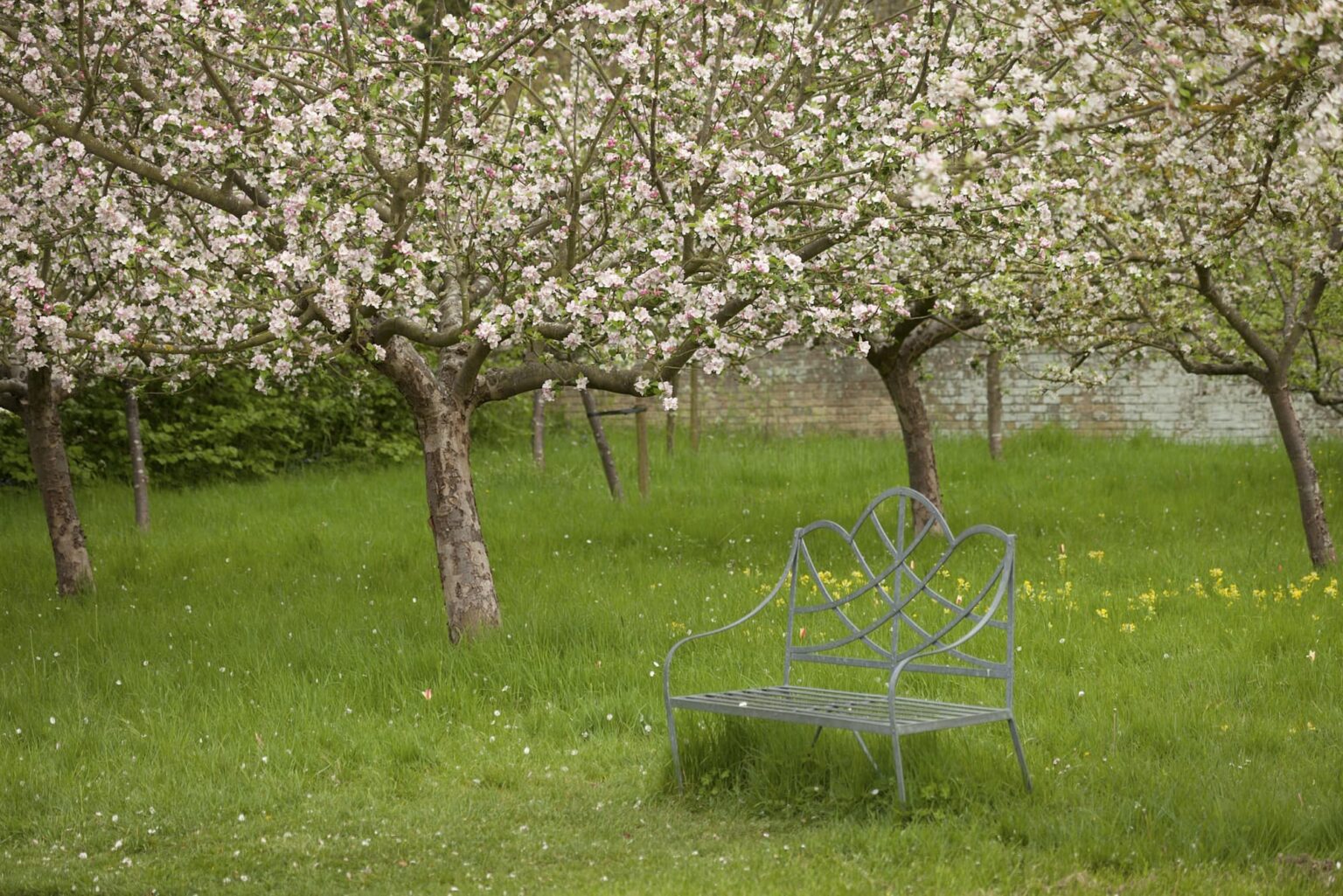 Home - The Royal Oak Foundation