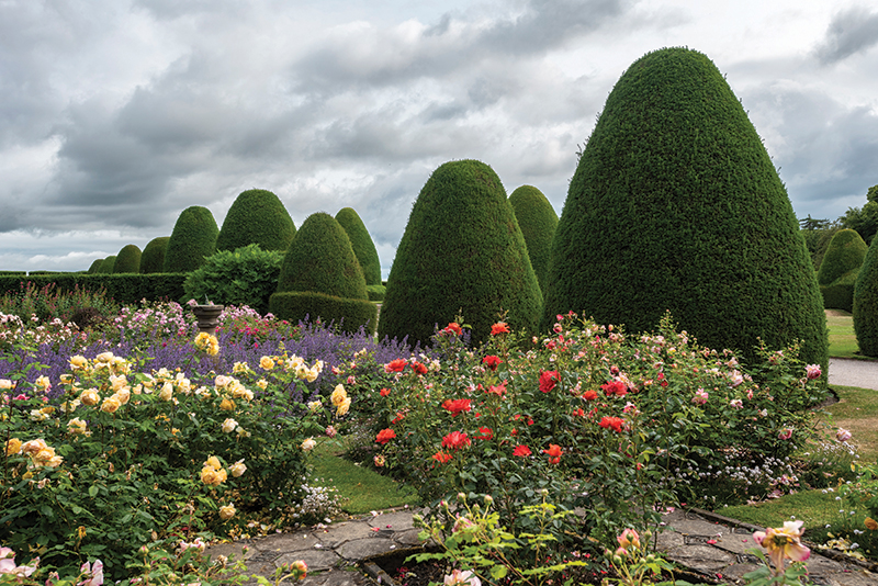 Annual Fund - The Royal Oak Foundation