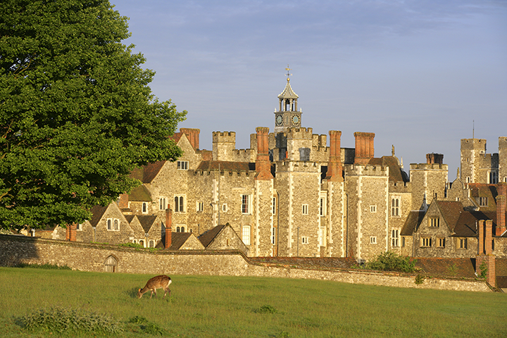 Spring 2023 Lectures & Tours - Charleston - Knole - The Royal Oak ...