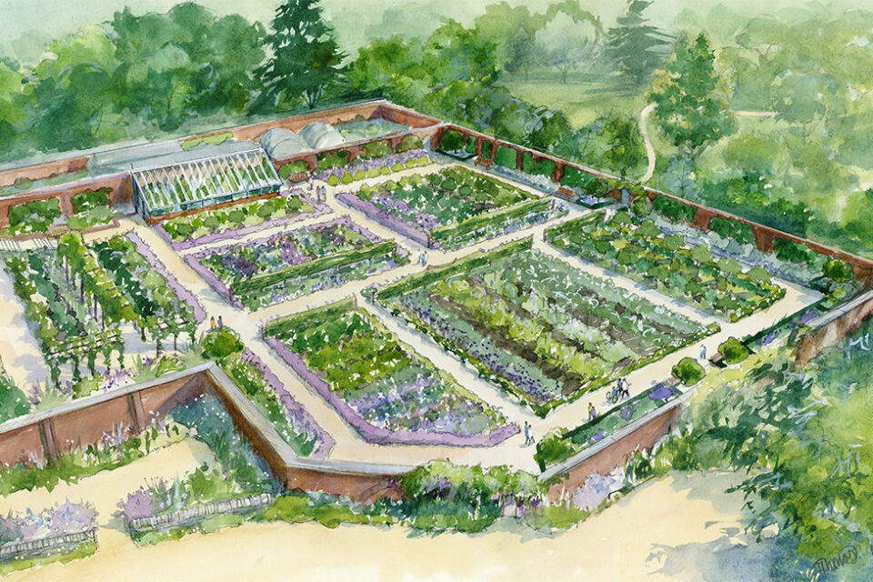 Home - The Royal Oak Foundation